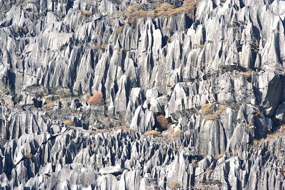 Suelos en geografía: Paisaje Karstico