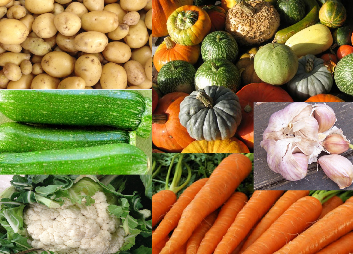 Légumes d’automne rôtis au four | Cagette Fraicheur