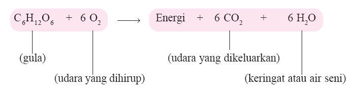 Proses Pembakaran Bensin Di Dalam Mesin Merupakan Contoh Reaksi ...