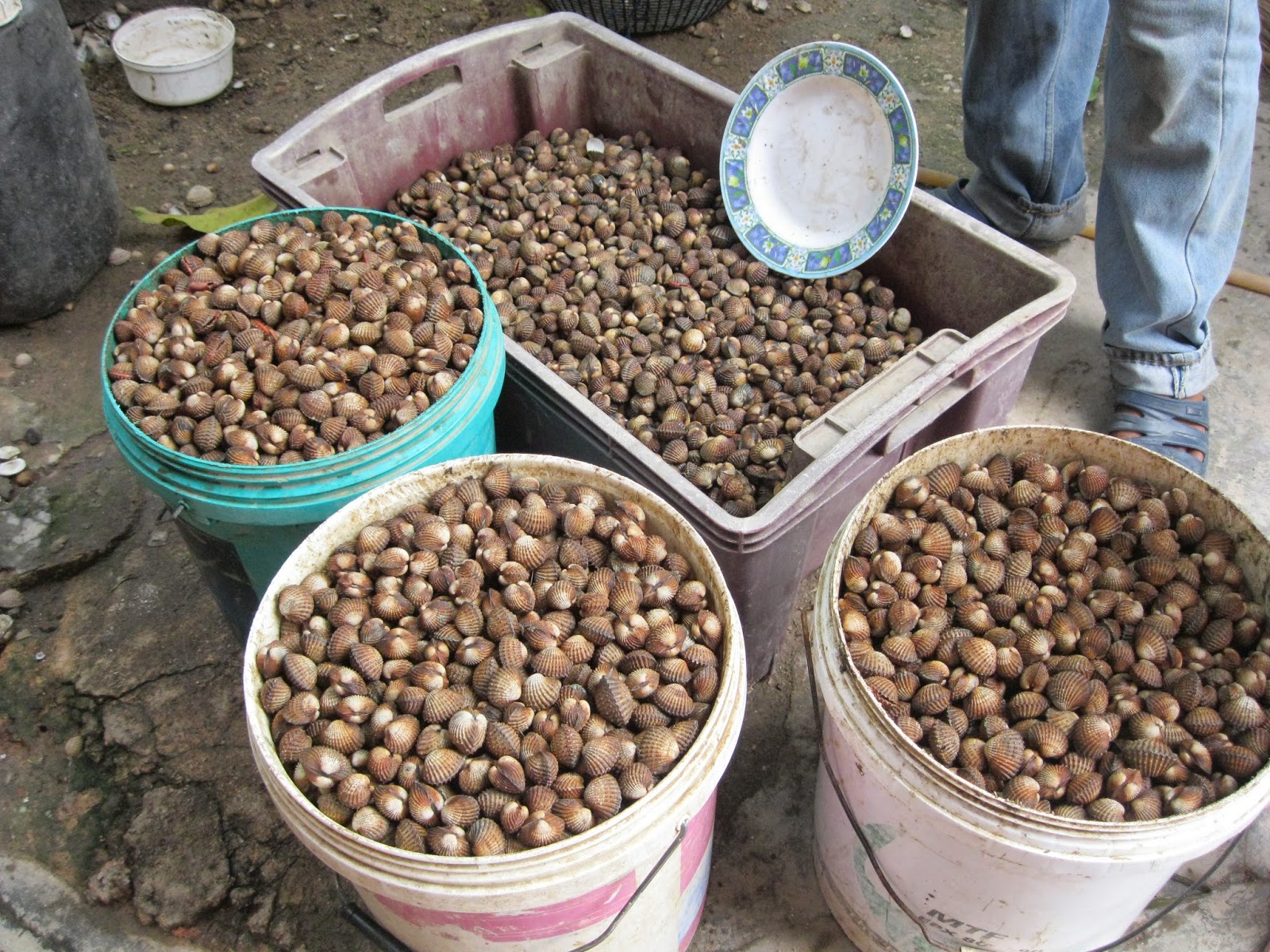 ZOEY ZEFFREY AZMAN: Trip to Muar - 28 & 29/3/2014