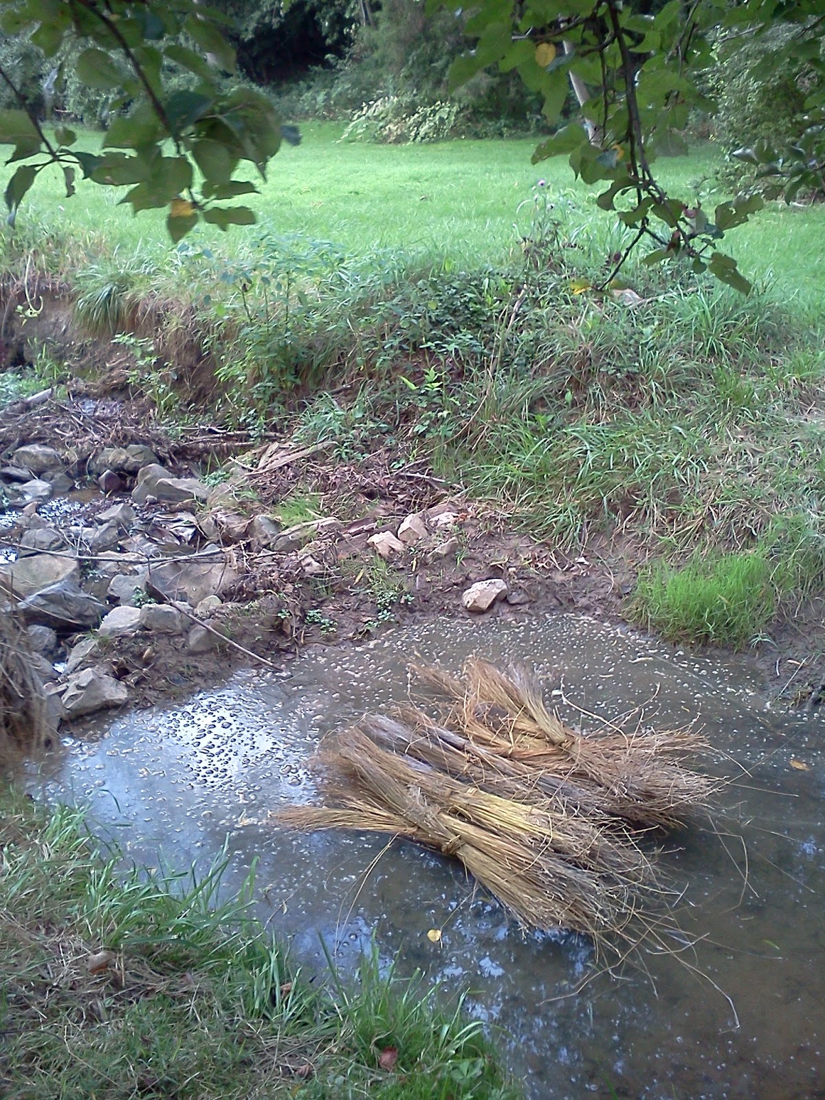 Frontier Culture Museum of Virginia: Retting Flax