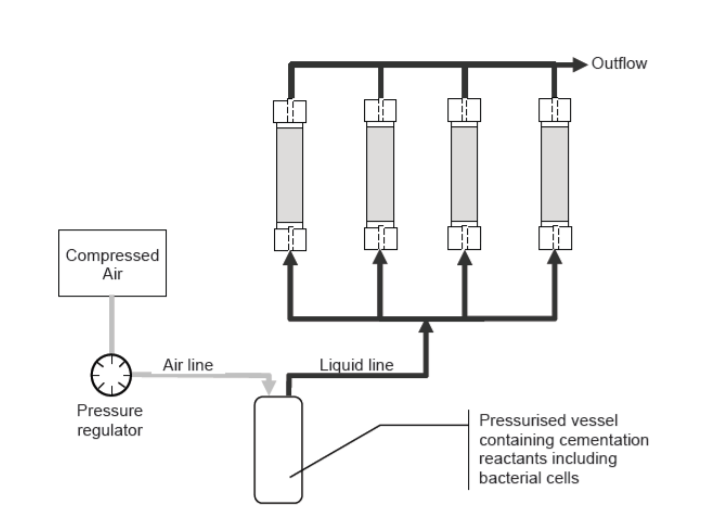Bio-Cement and Bio-Cementation Process