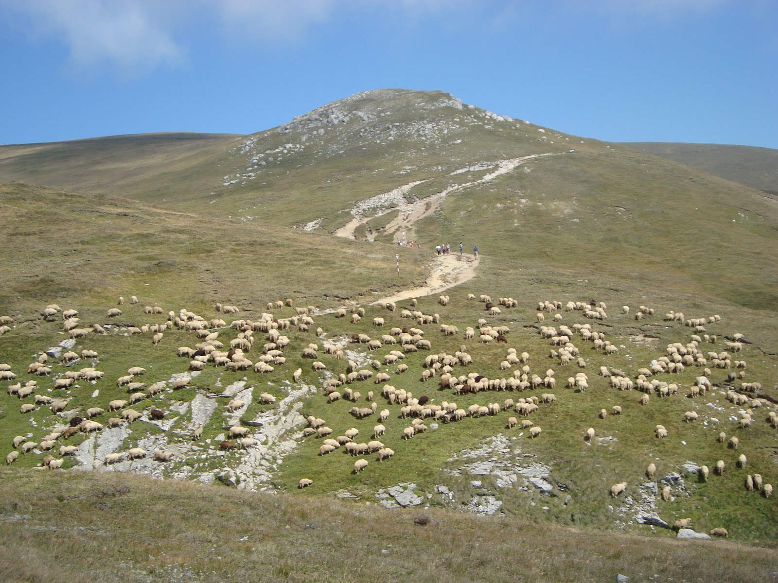 Popa Marius Claudiu - Fotografii: Munţii Bucegi : Sfinxul - Babele ...