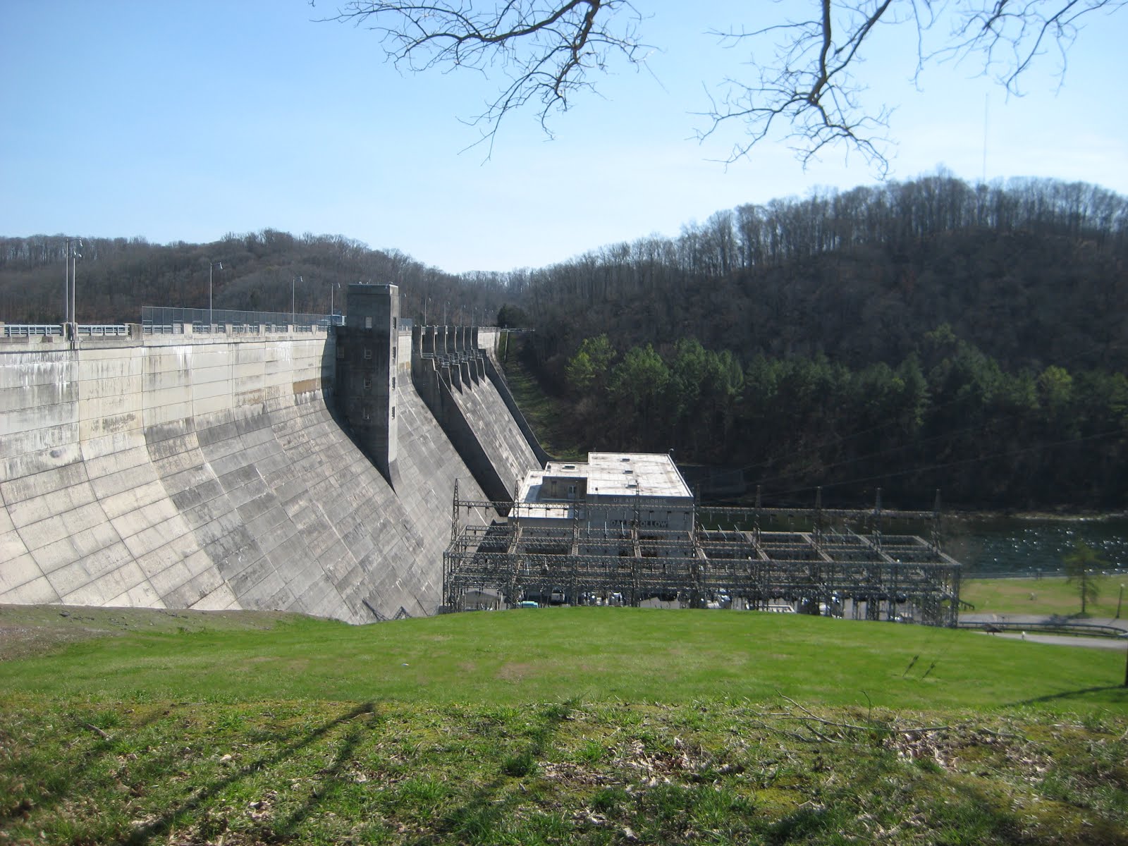 The New Moon Turtle Blog