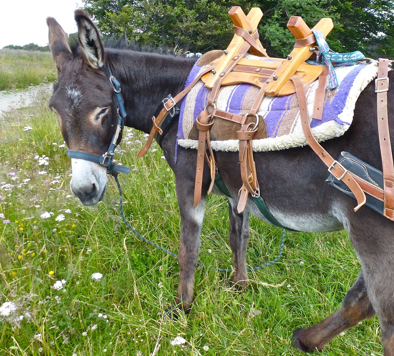 A French Education: KIF-KIF