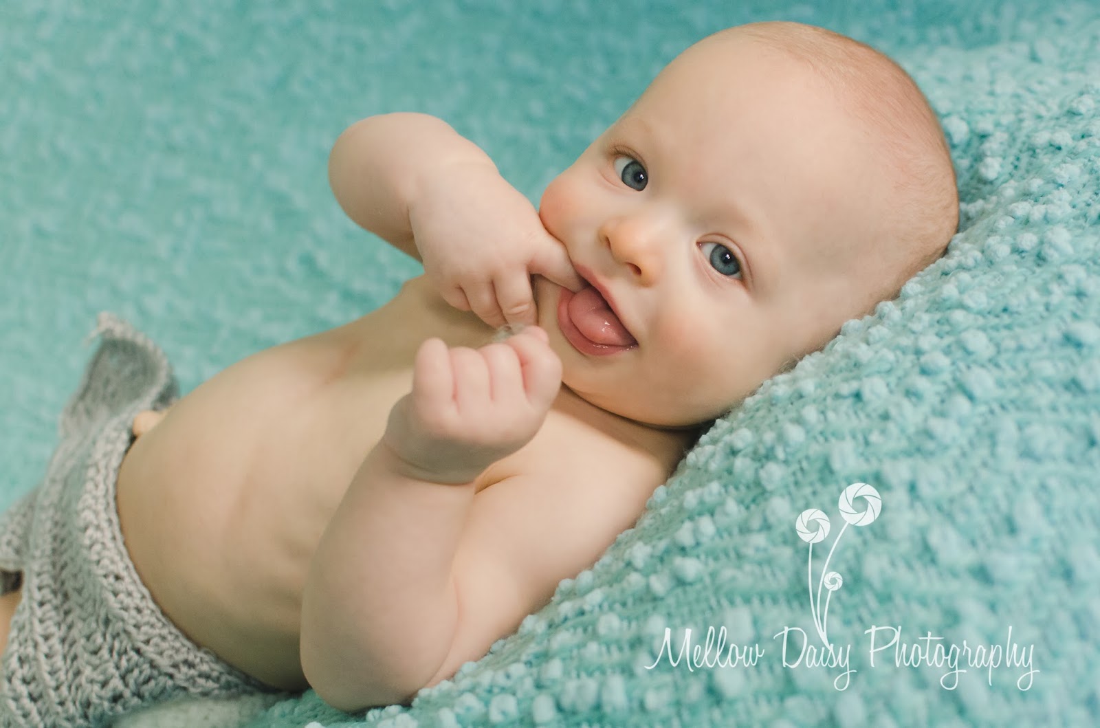 Mellow Daisy Photography: Killian