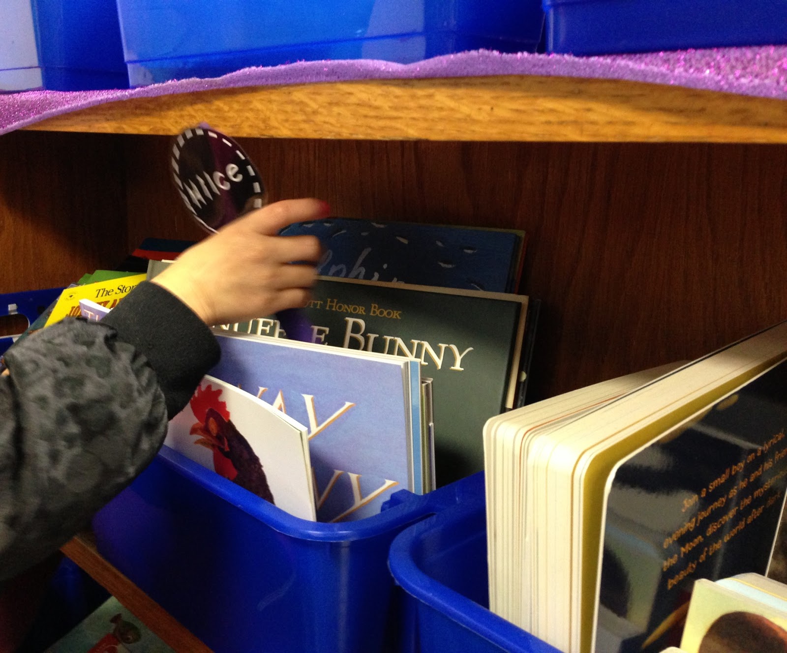 Classroom Library Sticks - Be Organized - A Spoonful of Learning