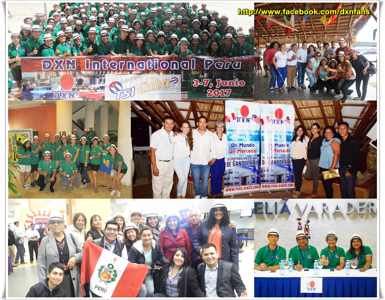 Welcome to the DXN Fans Blog