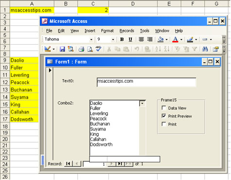 Display Excel Value Directly on Form ~ LEARN MS-ACCESS TIPS AND TRICKS