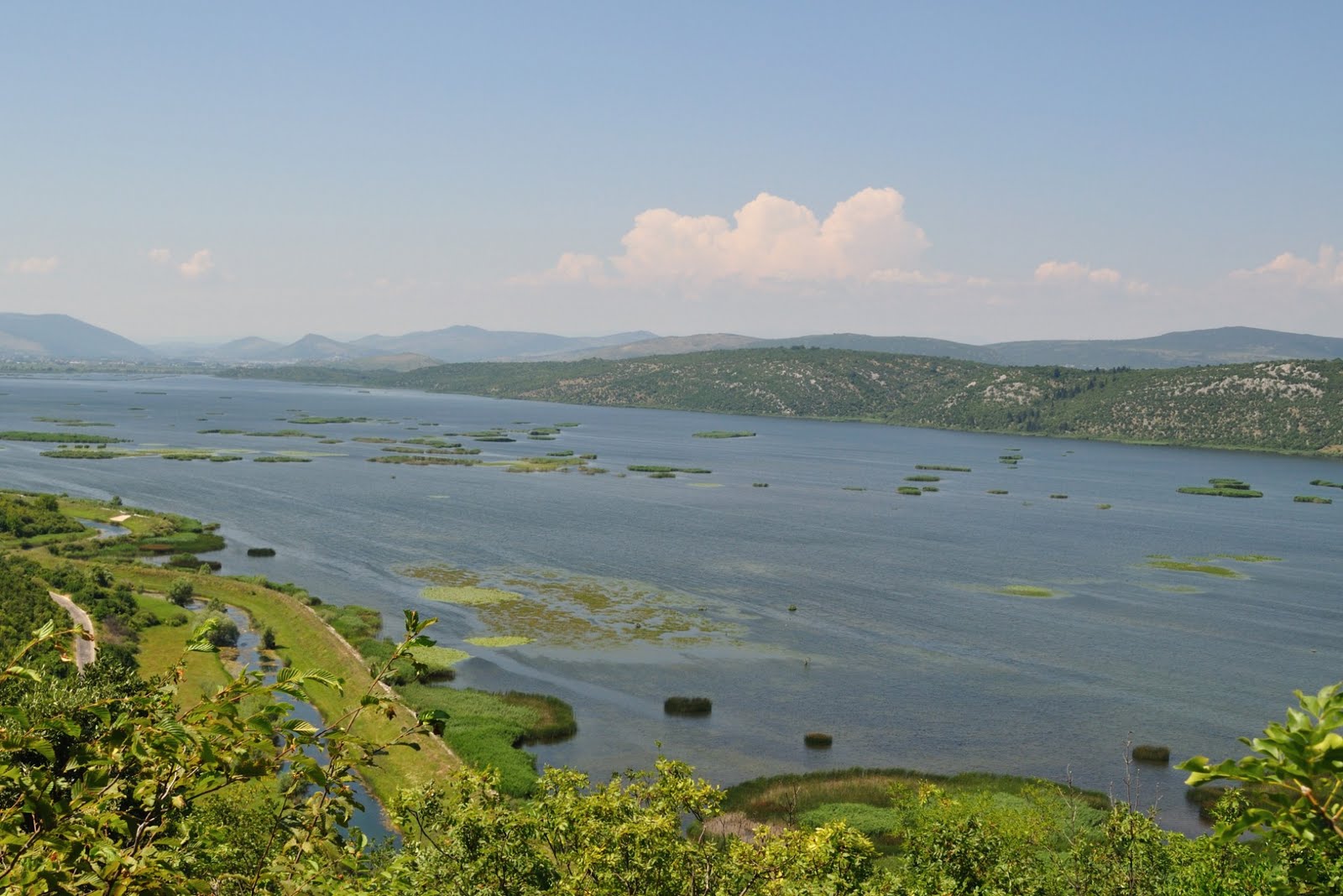 Fotoljublja: Hutovo blato