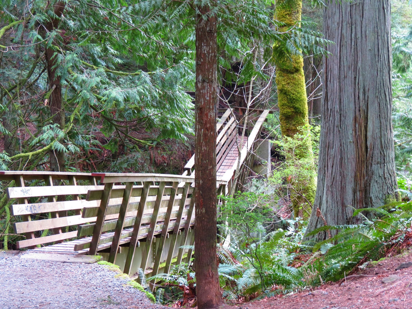 Everything Nanaimo: COLLIERY DAM PARK