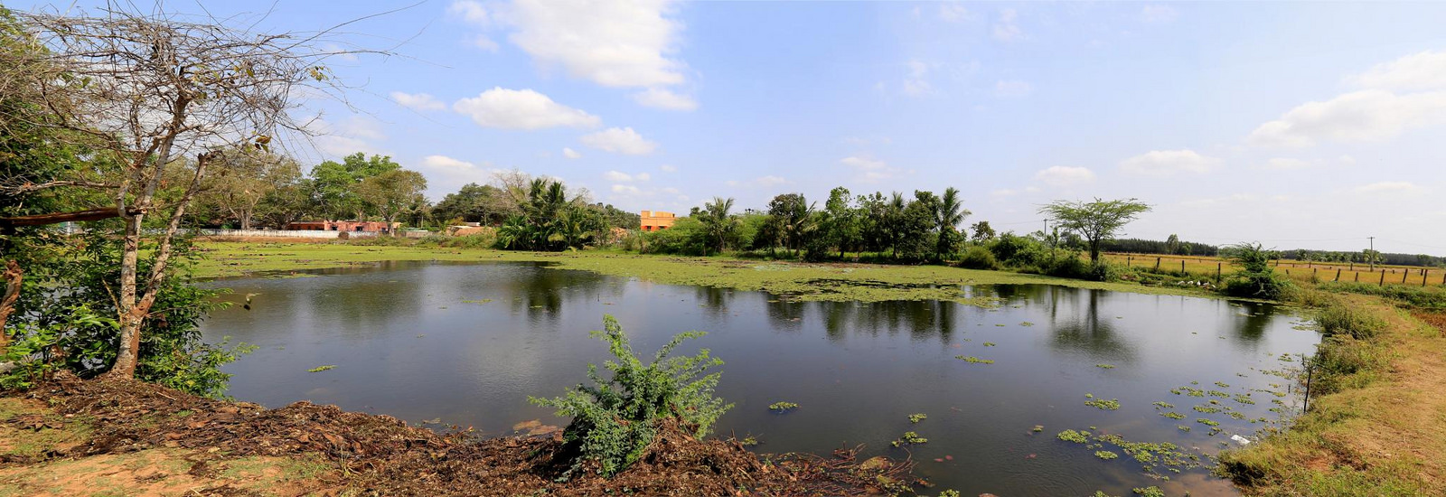 Tamilnadu Tourism: Aadaleswarar Temple, Kayar, Kanchipuram