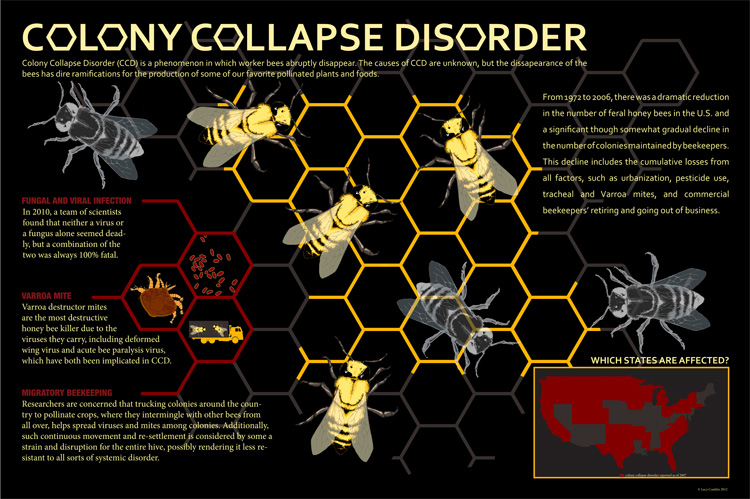 melisseus: ΔΙΑΤΑΡΑΧΗ Ή ΣΥΝΔΡΟΜΟ ΚΑΤΑΡΡΕΥΣΗΣ ΤΩΝ ΜΕΛΙΣΣΙΩΝ (COLONY ...