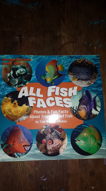Kids will love All Fish Faces Book - ChitChatMom