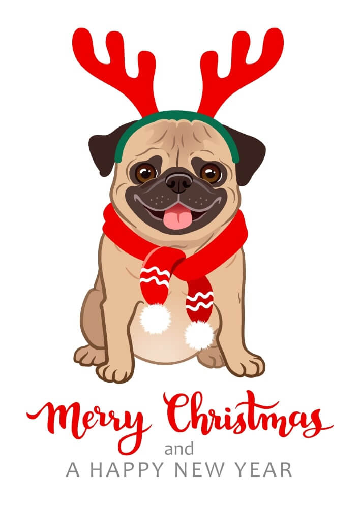 Unique Christmas Photo Cards Christmas Cards Photo unique-christmas-photo-cards-christmas-cards-photo
