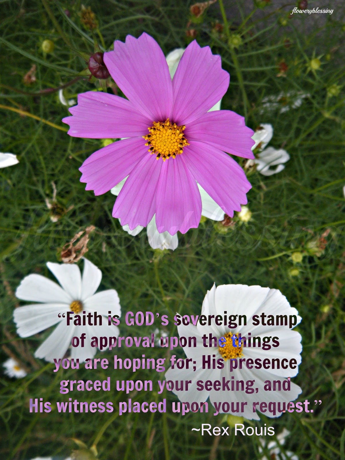 Flowery Blessing: August 2013