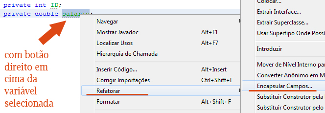 Criar Métodos Set E Get Automaticamente No Netbeans Evertec