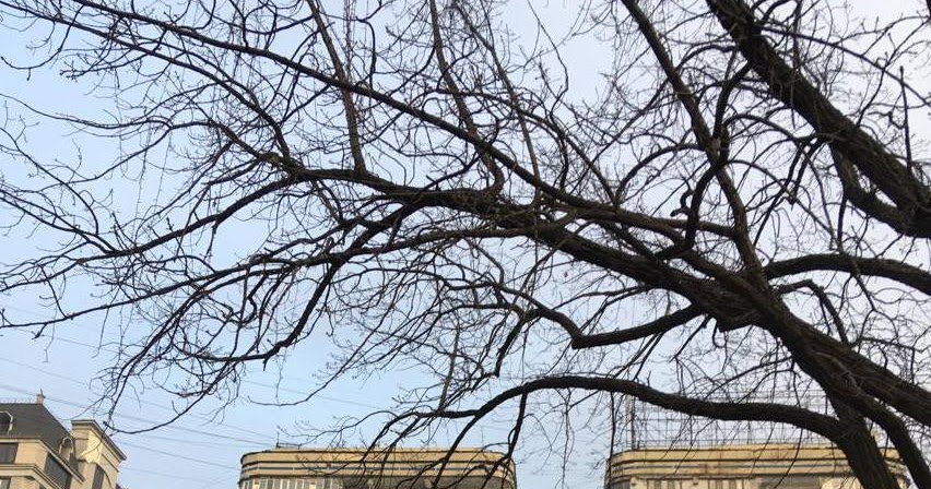 "If you have no fantasy you should not sin."