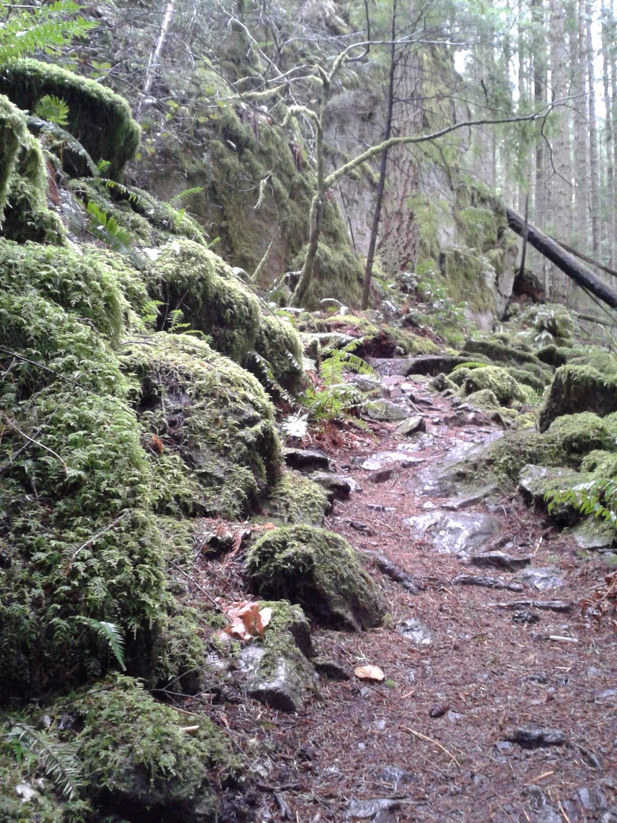 Urban Trailseeker: Hiking Trip Report: Little Si, Boulder Garden Loop