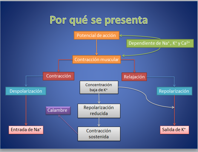 Juan Leon - Fisiologia: Calambres musculares