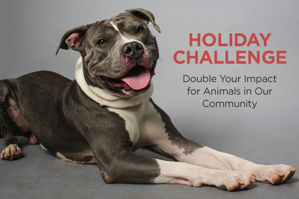 WASHINGTON DC: Matching Gift Opportunity at Humane Rescue Alliance