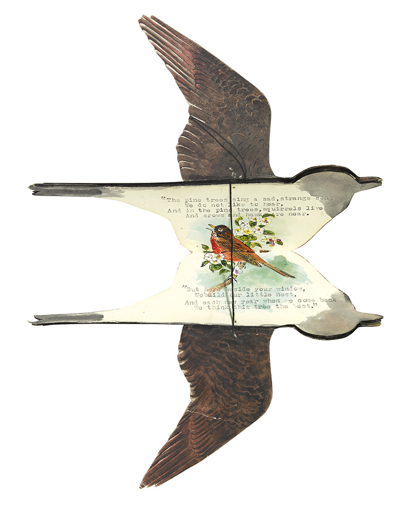 even*cleveland: the robin book