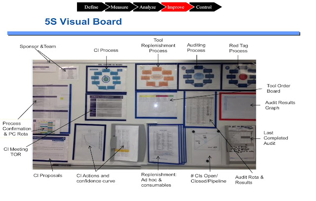 Lean Project: The Introduction of 5S into Cell Culture