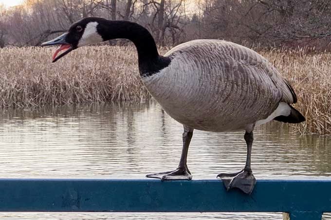 East Gwillimbury CameraGirl: A/Alphabe-Thursday