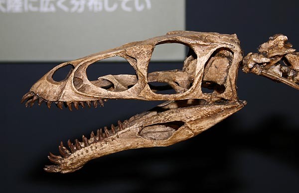 Prehistoric Beast of the Week: Masiakasaurus: Beast of the Week