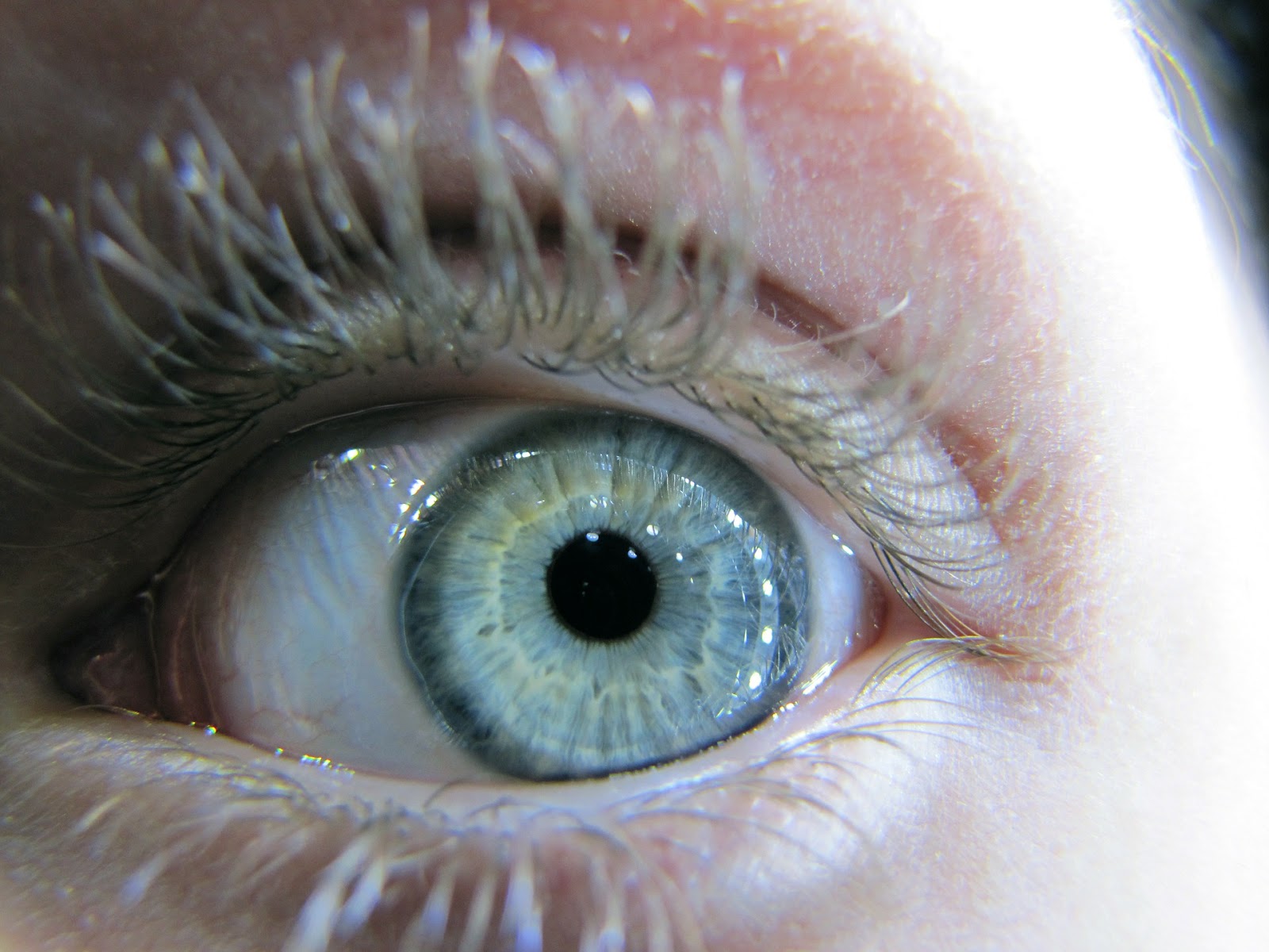 One Paragraph On Eye Drops For Cataracts One Paragraph Science One Paragraph On Eye Drops For Cataracts One Paragraph Science