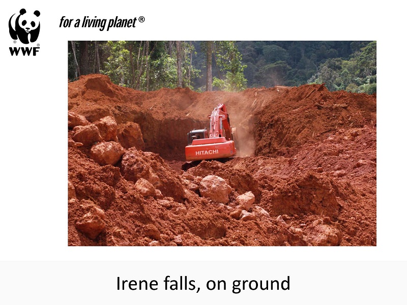 Goudwinning in Suriname: 's Lands Bosbeheer: Illegale mijnbouw- en ...