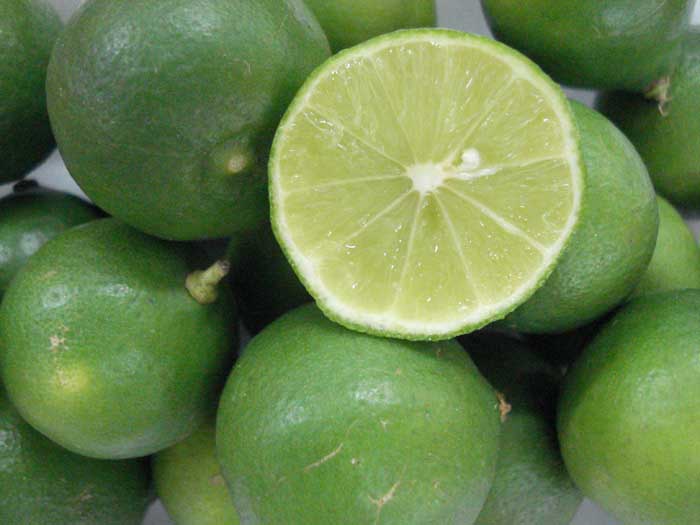 Limão - Citrus limonium