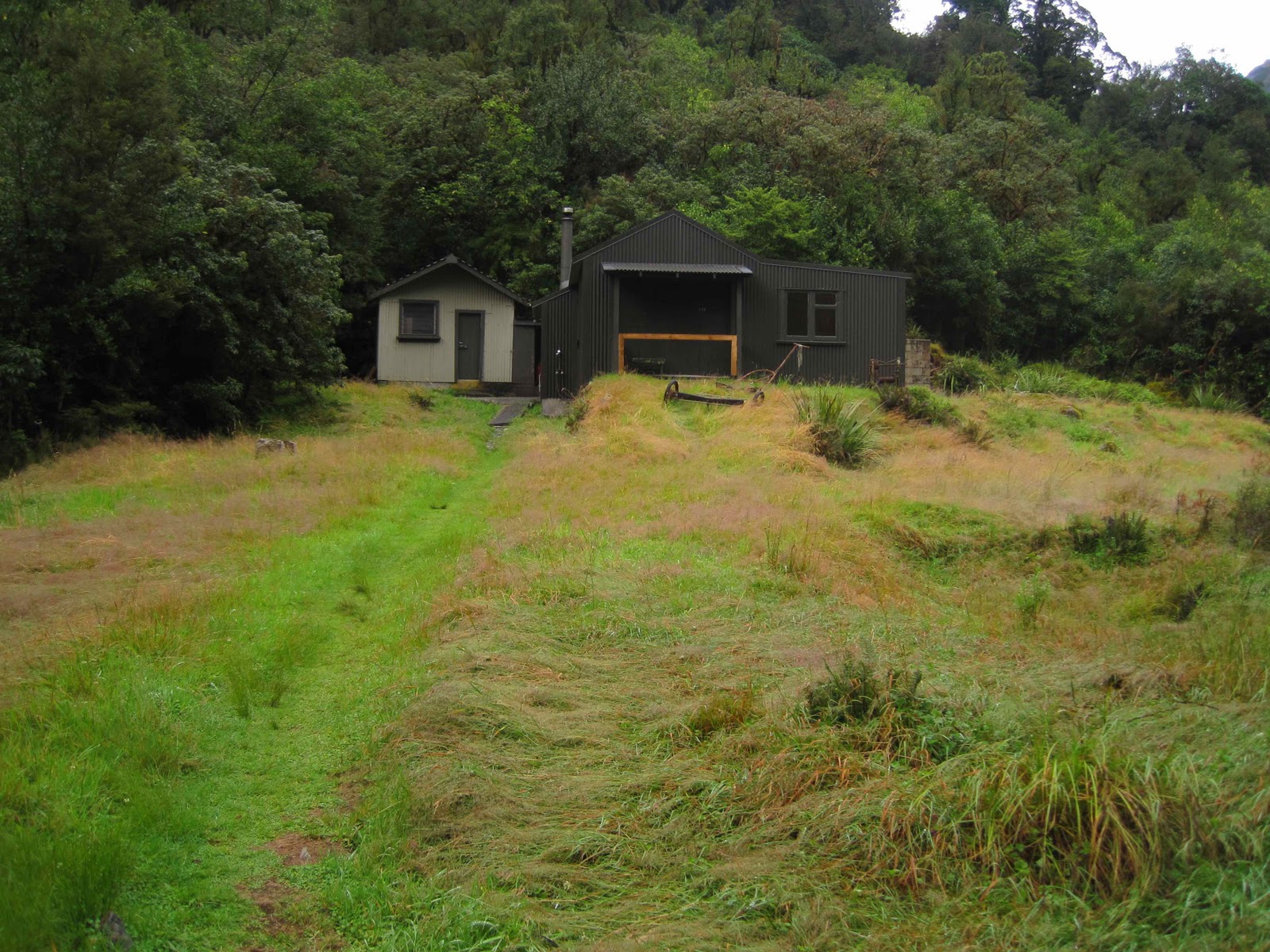 Carolyn in Aotearoa: Milford Track, Day Four: Dumpling Hut to Sandfly ...