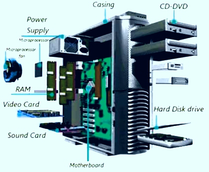 Tentang Hudup, Ruang Lingkup dan Kesehatan |#1
