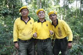 Movie Review : Senario Ops Pocot - My Rainbow...