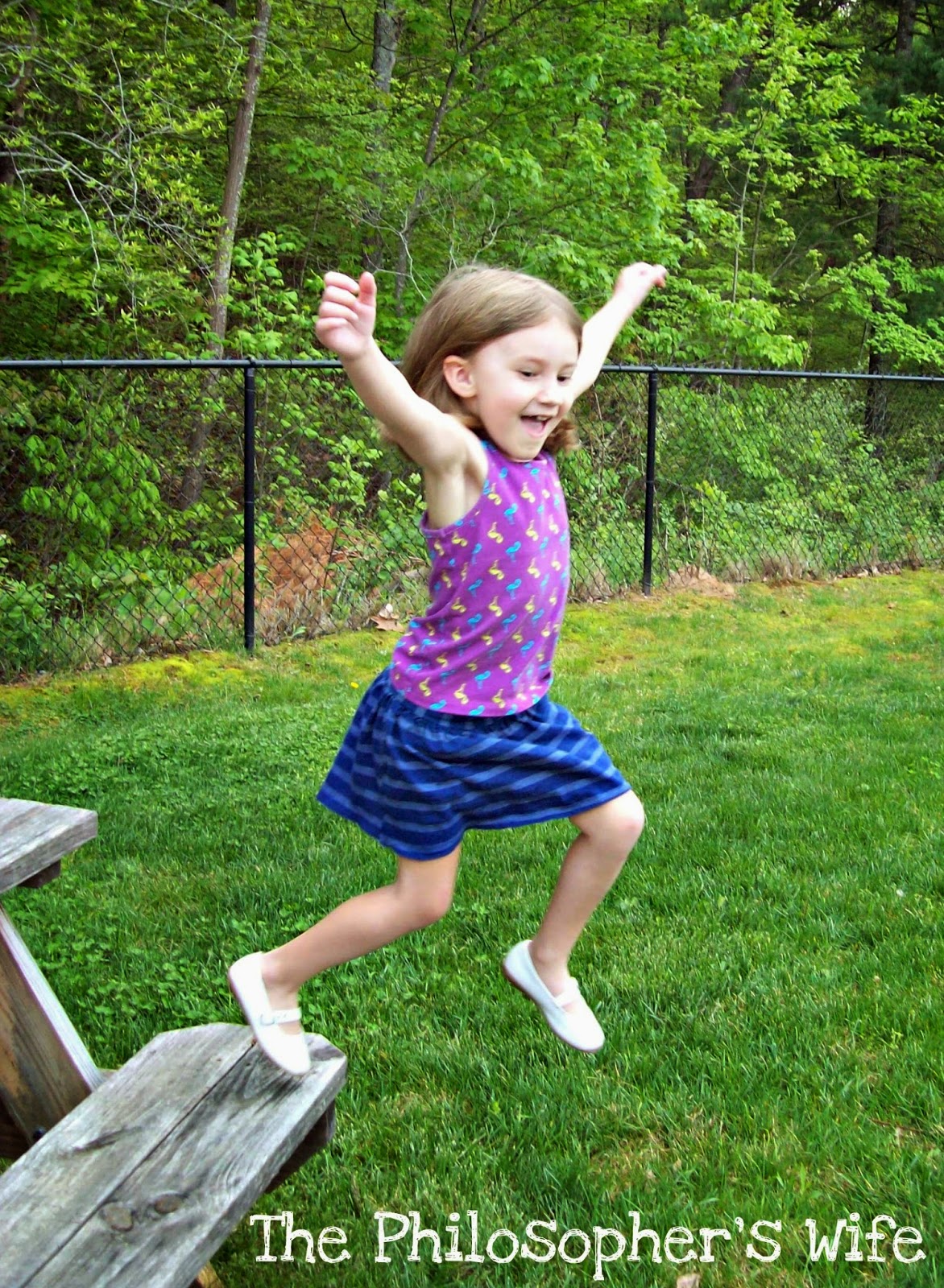 The Philosopher's Wife: A Skort for Catherine: The Monkey Bar Skirt (A ...