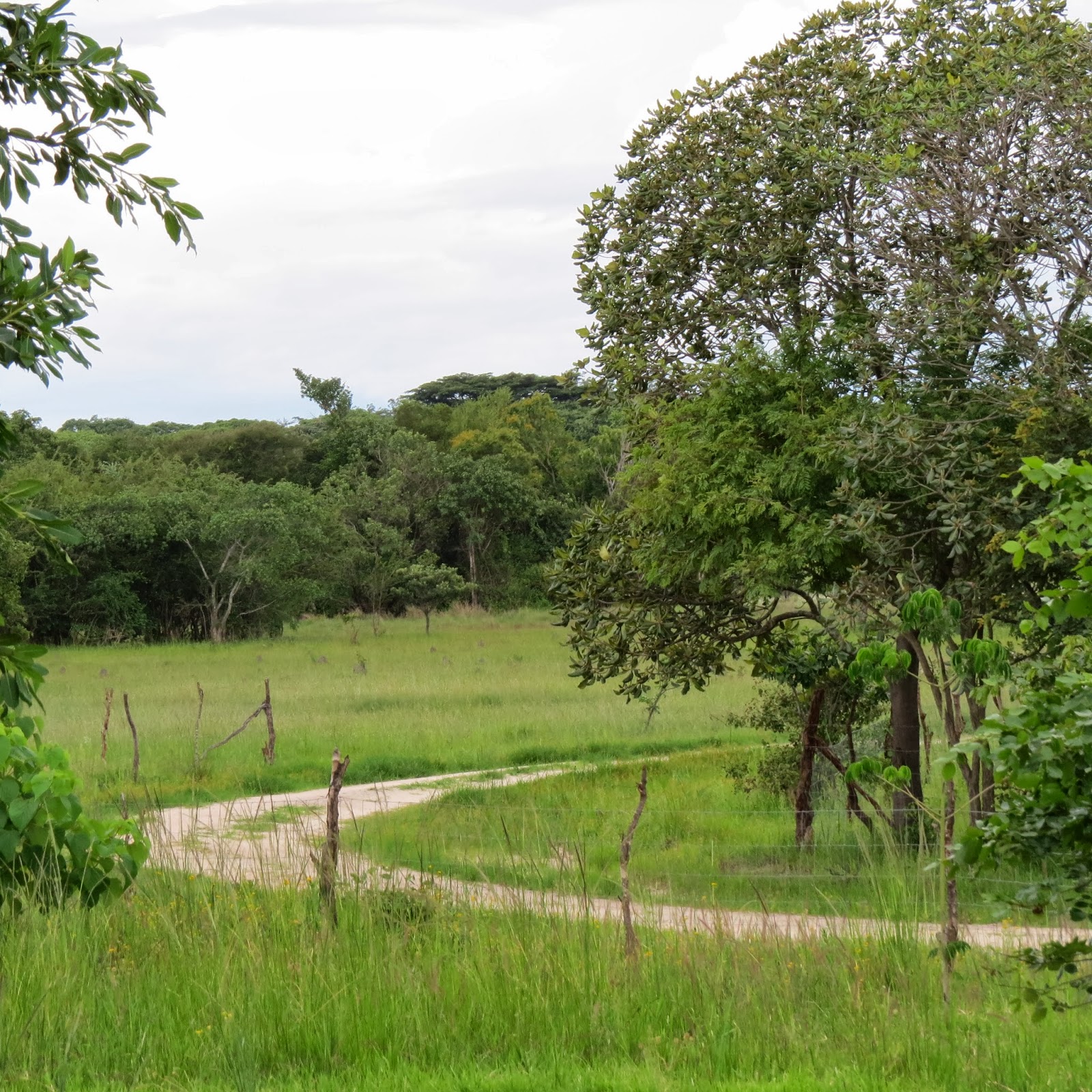 African Queen: Life on a farm in Zambia