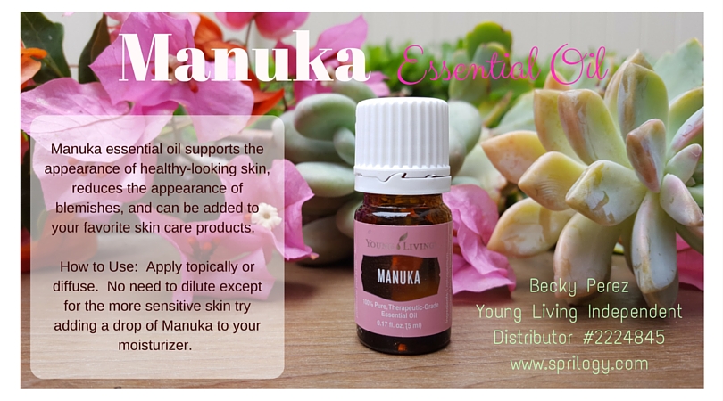 Sprilogy: Manuka Essential Oil