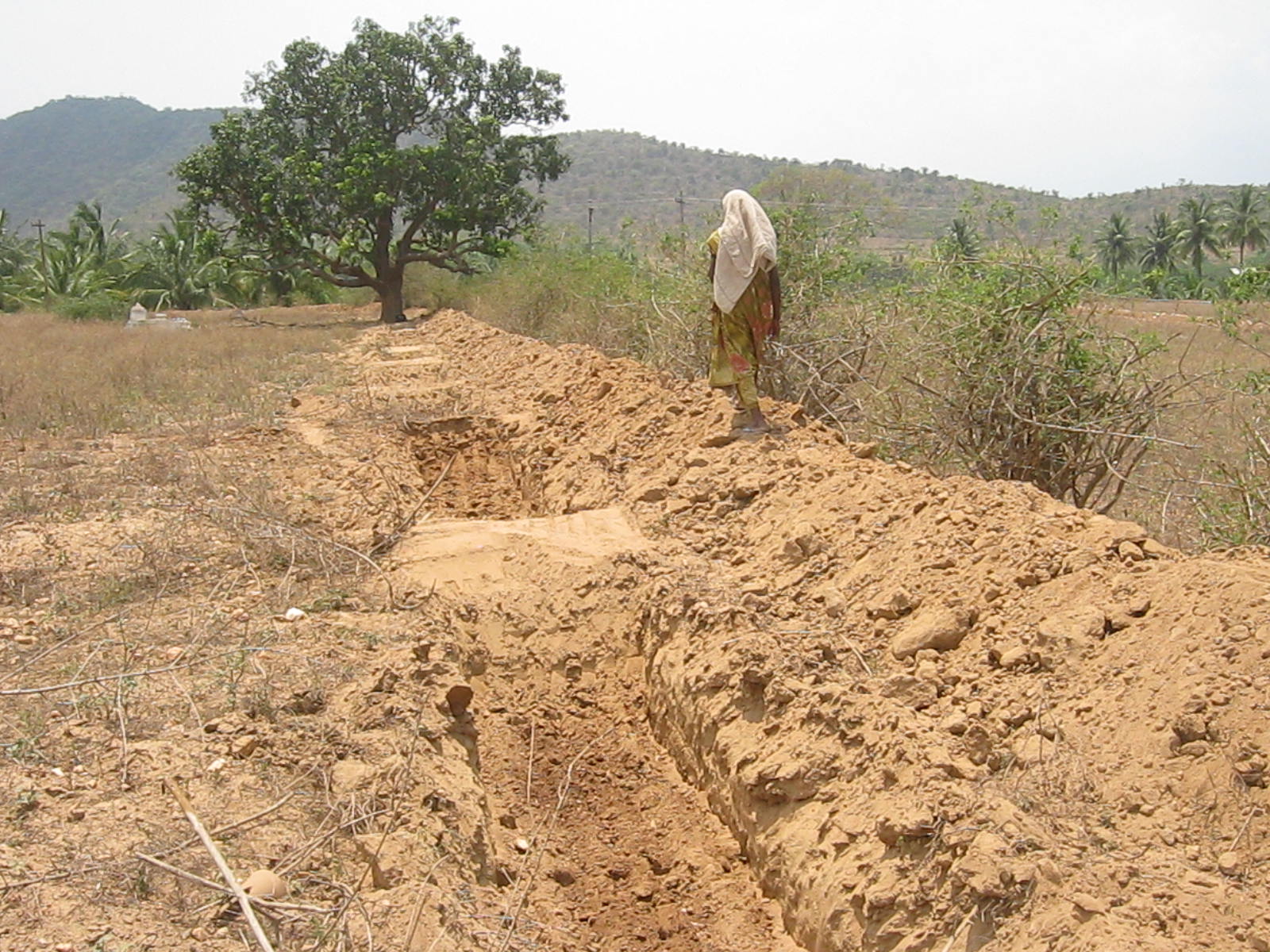 NMCT-NABARD: bolder bunds and soil bunds