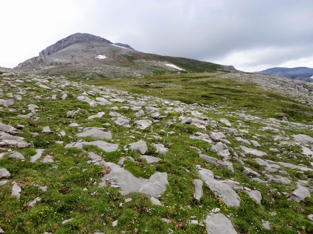 Montesymasdebucuesa: 48-14. SAMOLA BAJA DESDE LA FUENTE DEL PACO. 5-7-2014.