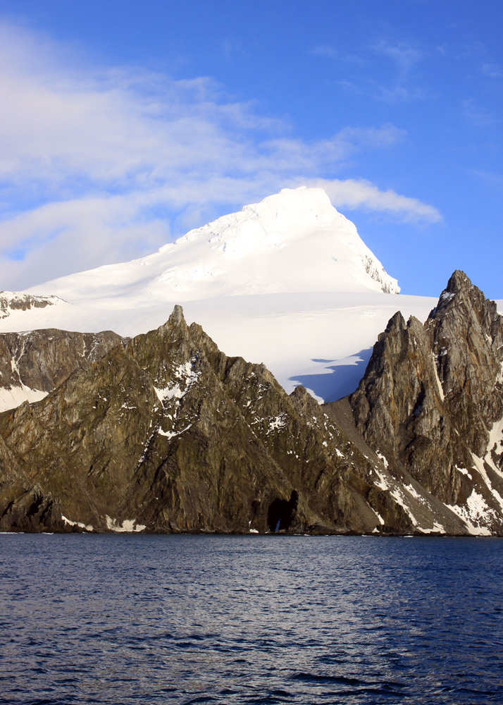 Travels with birds: Elephant Island