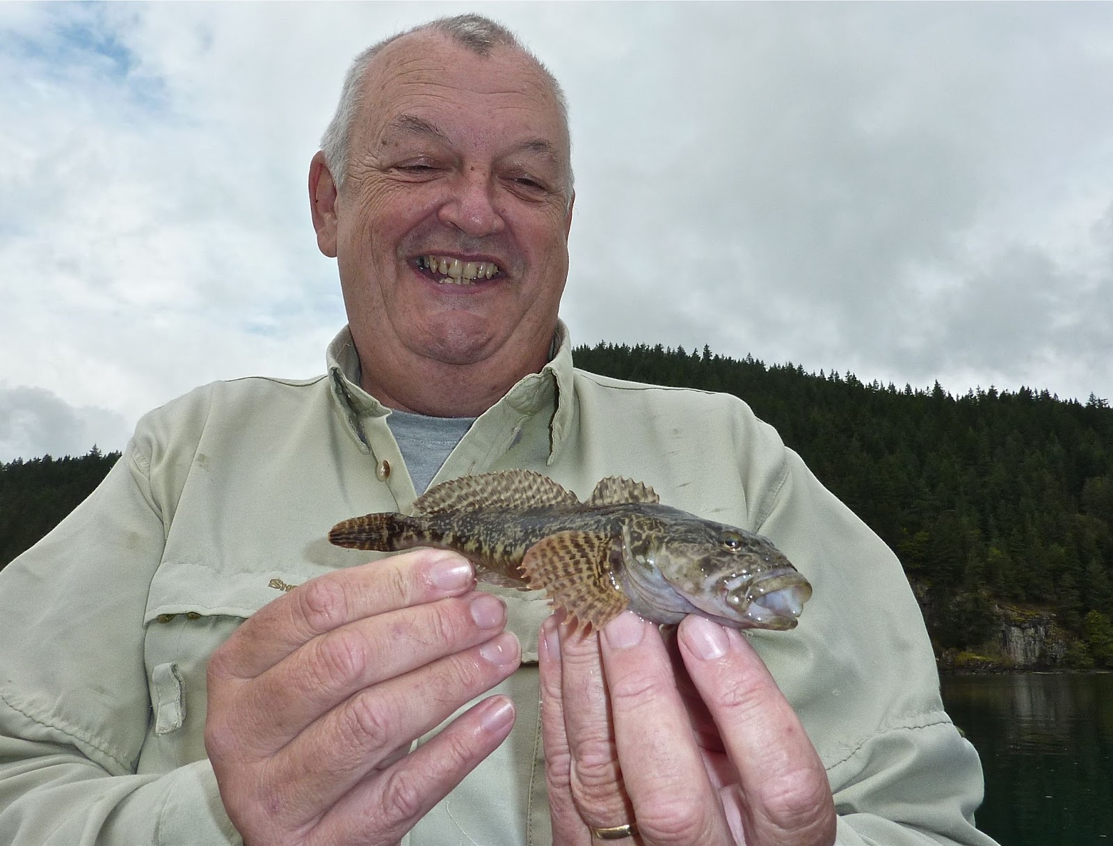 HUGH MILES - WILDLIFE ADVENTURES: December 2016