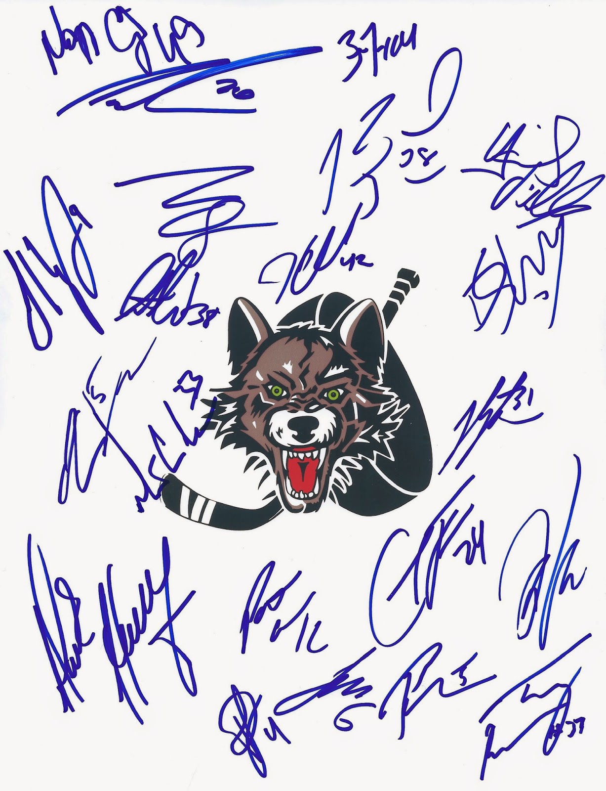 Aaron's Autographs: Chicago Wolves @ Adirondack Flames 11/18/14