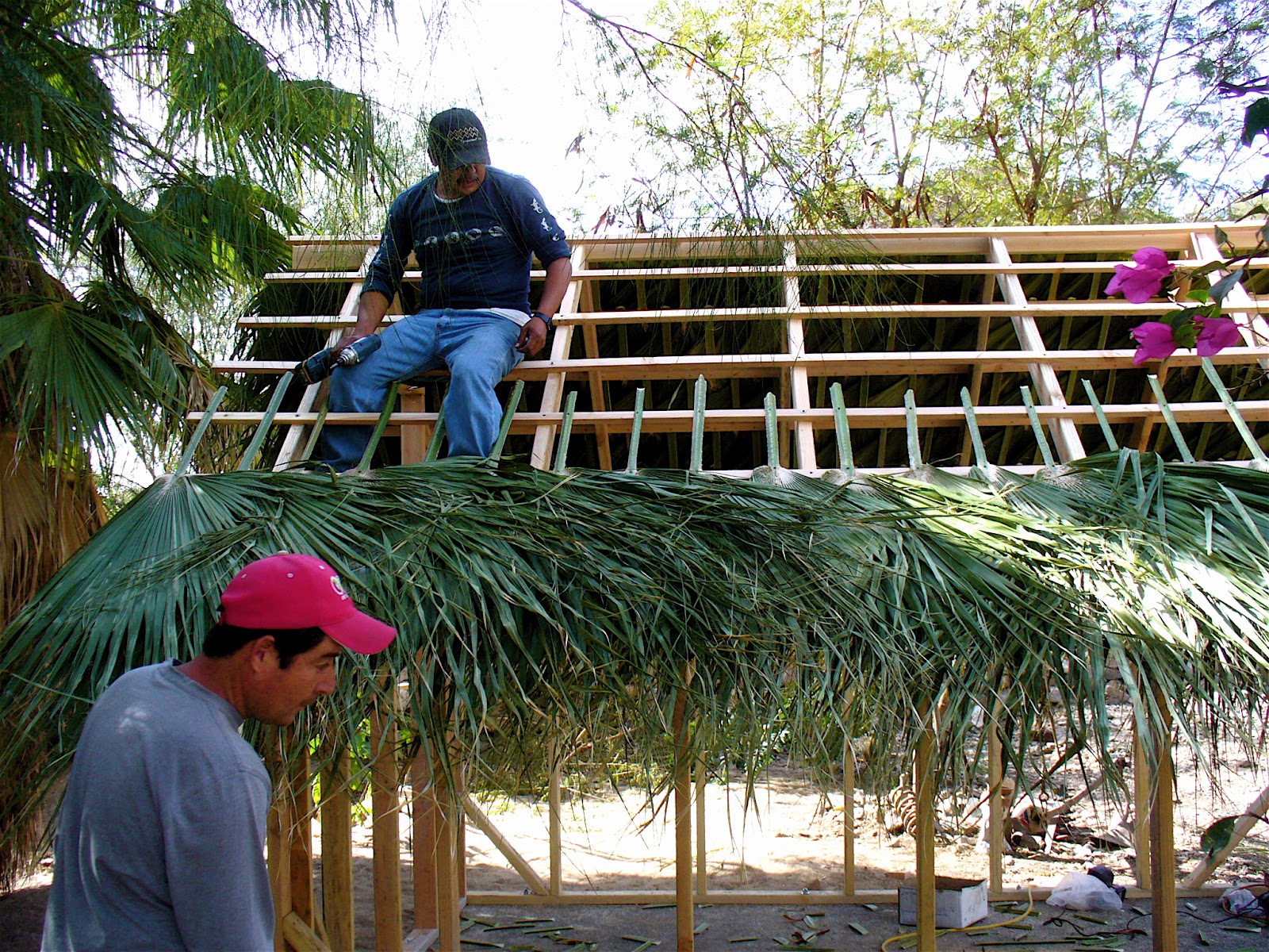 Alt. Build Blog: Bamboo Mat Shed With A Palm Thatch Roof In Mulege, B.C.S.