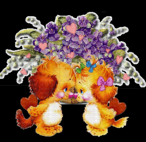 FRASES Y GIFS: Tierno