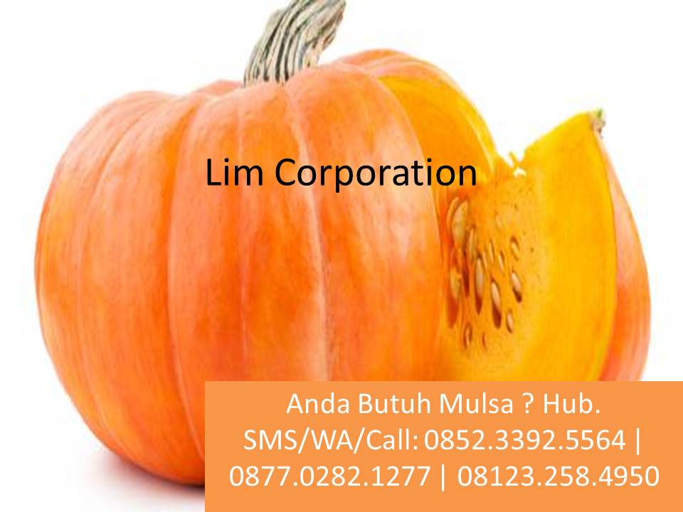 Panduan Lengkap Budidaya Waluh, Agar Panen Melimpah Ruah! - Jual Mulsa ...