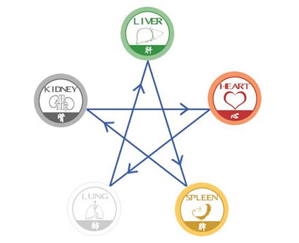 Healthy Sustainable Living: Your Organs Are Desperate For These Foods ...