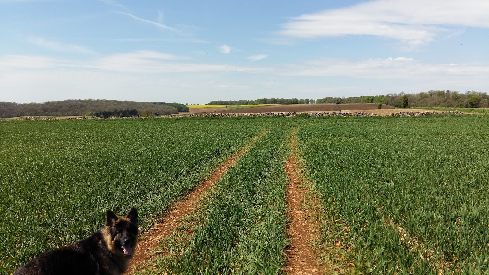 Cotswolds Travel: Idyllic Circular Walk Around Turkdean, Hazelton, and ...