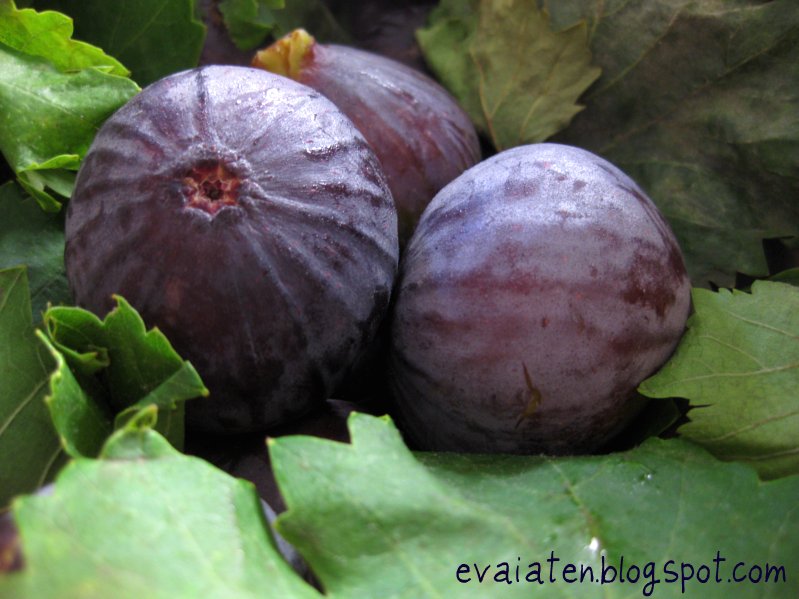 Greek Salad - a blog from Greece!: Fikon