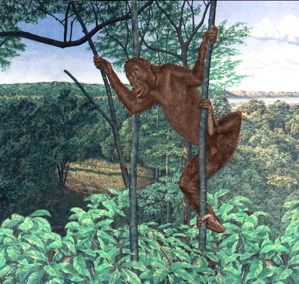 THE HUMAN RACE, "The Long Walk".: SIVAPITHECUS(ancestor)